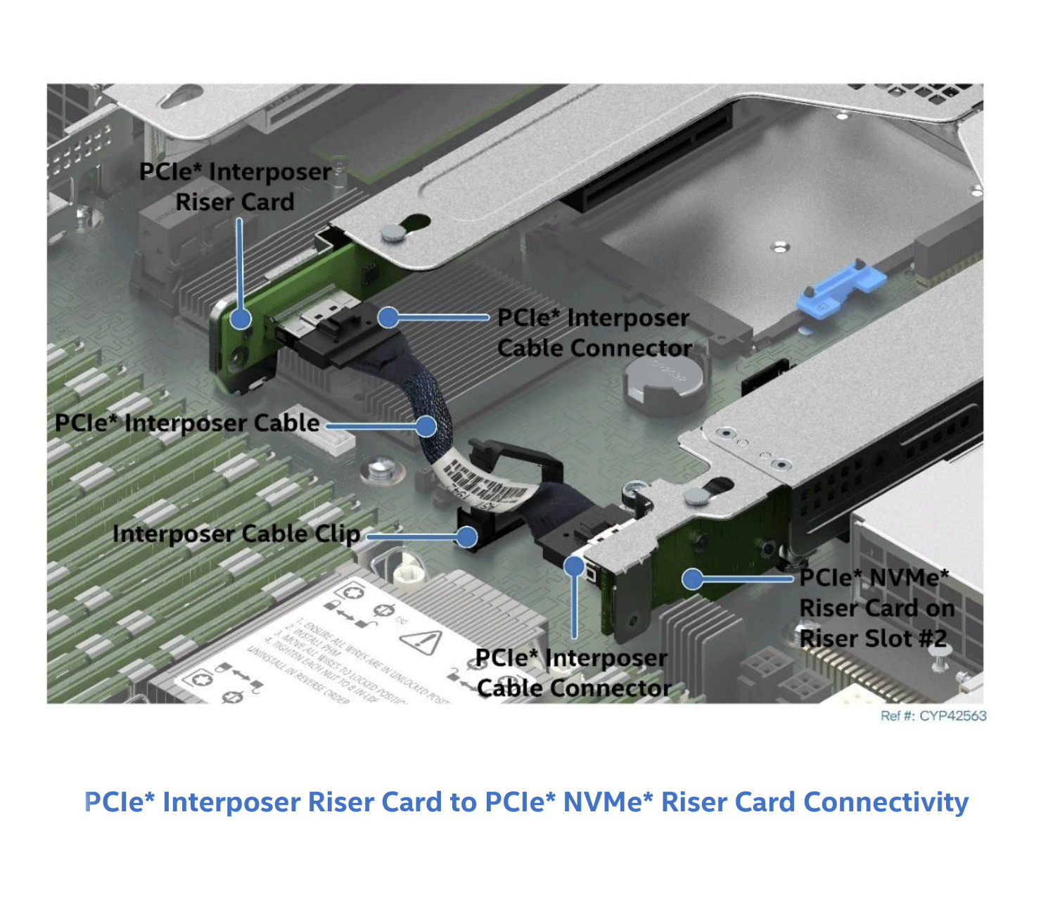 Colfax CX1265i-NVMe4-S12-X8 Server